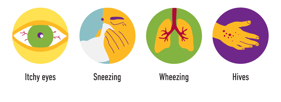 Asthma vs. Allergies: Understanding the Connection and Managing Symptoms