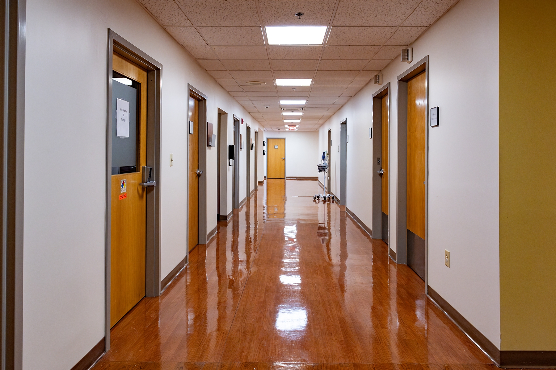 Occupational Health | Temple Health