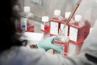 Research | Temple Health