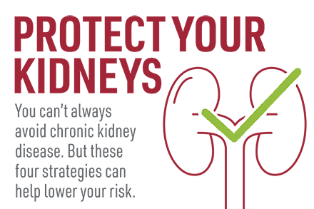 Chronic Kidney Disease and Failure | Temple Health