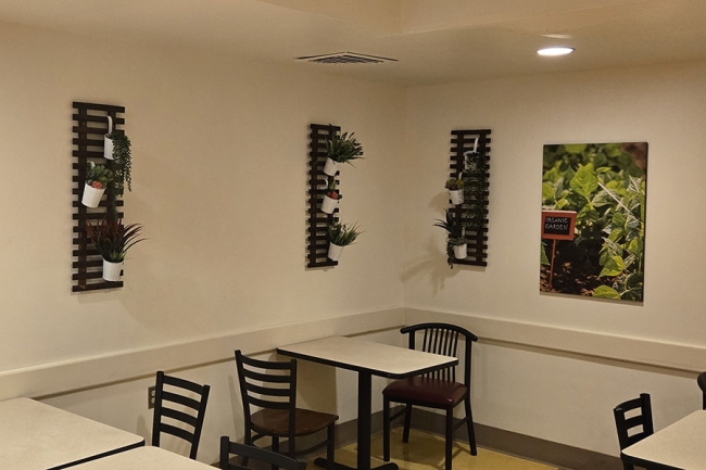 Turning Over a New (Salad) Leaf: Temple Health-Chestnut Hill Hospital ...