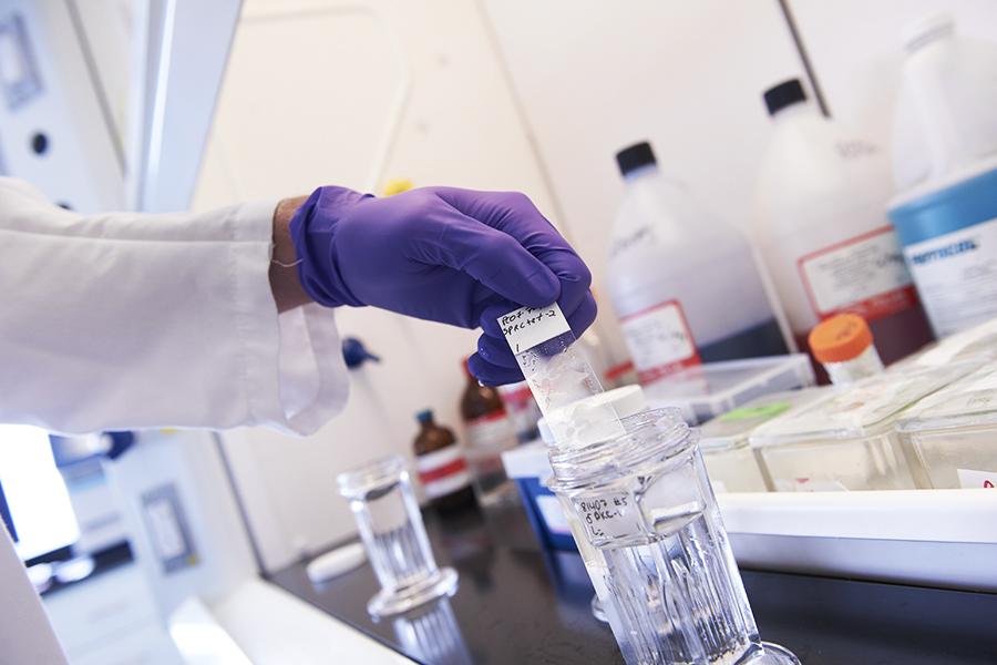 Research | Temple Health